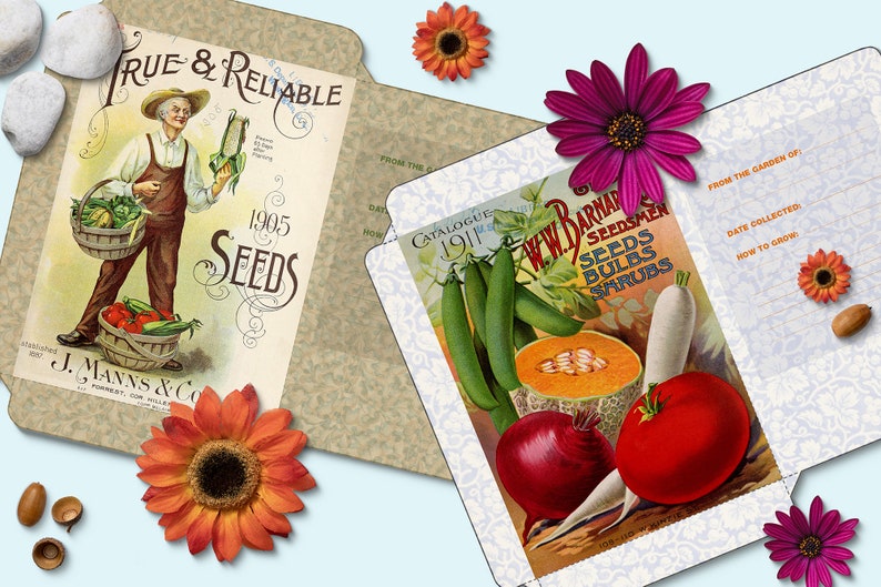 6 Mixed Vegetable Seed Packets, Vintage Seed Packets, Digital Collage ...