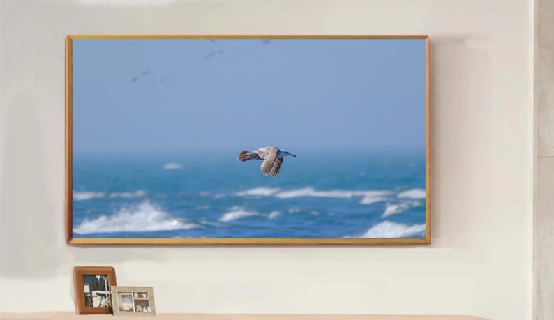 Digital Illustration for Virtual Display Seagull in Flight Ocean ...