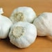 Garlic Bulbs, Whole Sold per Bulb, Ready for Planting or Preparing to ...
