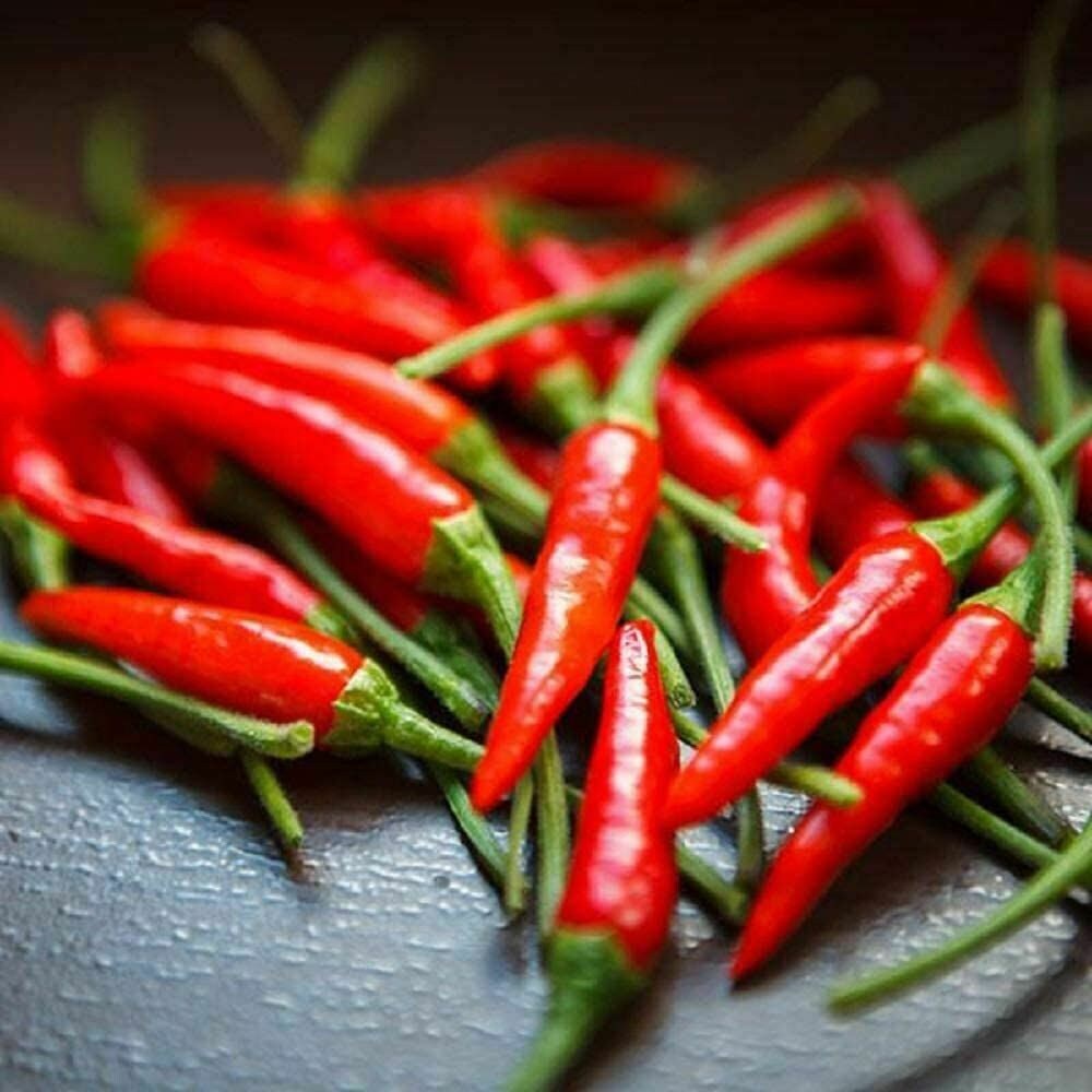 Pepper Seeds, Thai Pepper Seeds, "cool Beans N Sprouts" Brand. Home ...