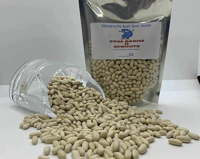 Bean Black Turtle Bean Seeds ,cool BEANS N Sprouts Brand. Home ...