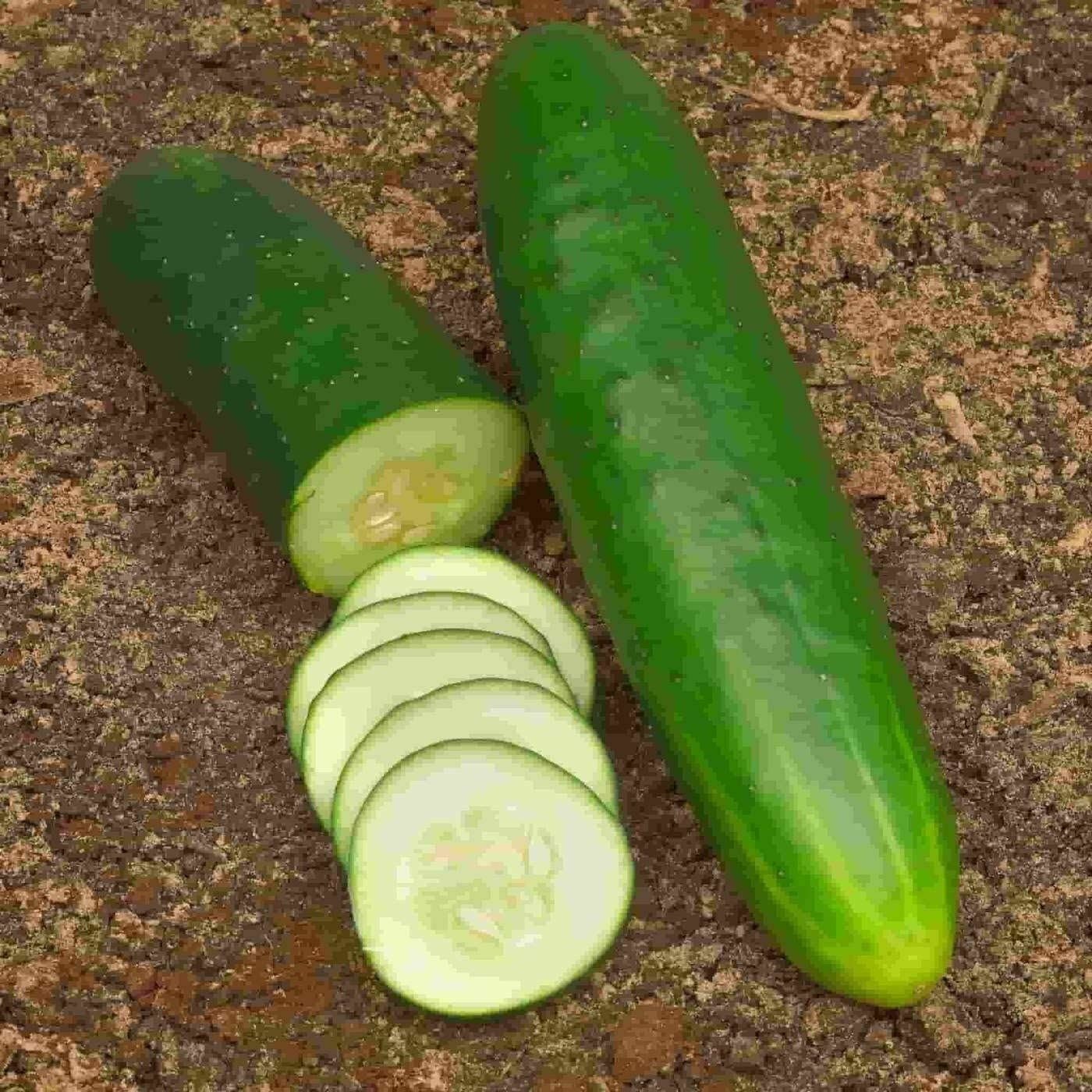 Cucumber Seeds Straight Eight Cucumber Seeds cool | Etsy