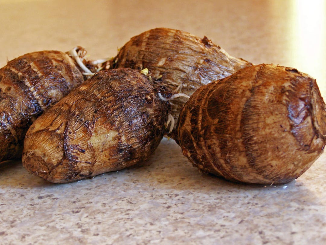 Taro Root , Whole Taro Roots, Taro Root is a Versatile Plant, Used as a ...