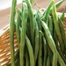 Bean Top Crop Bush Bean Seeds ,cool BEANS N Sprouts Brand. Home ...