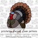 Turkey Digital Stained Glass Pattern - Includes Printable Pages and ...