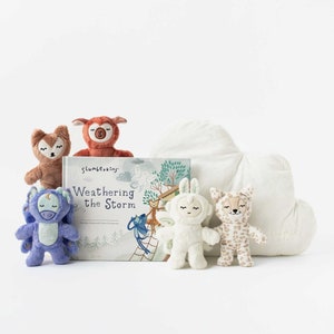 Weathering the Storm Pillow Set L Children's Social Emotional Toys L ...