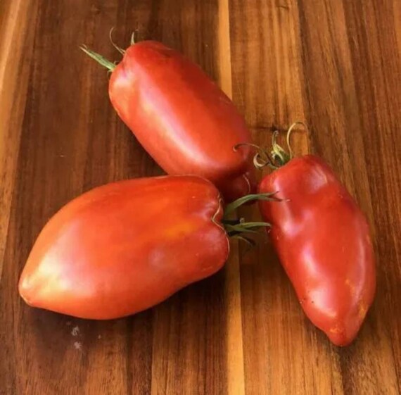 Organic Opalka Paste Tomato Seeds Heirloom 2022 - Etsy