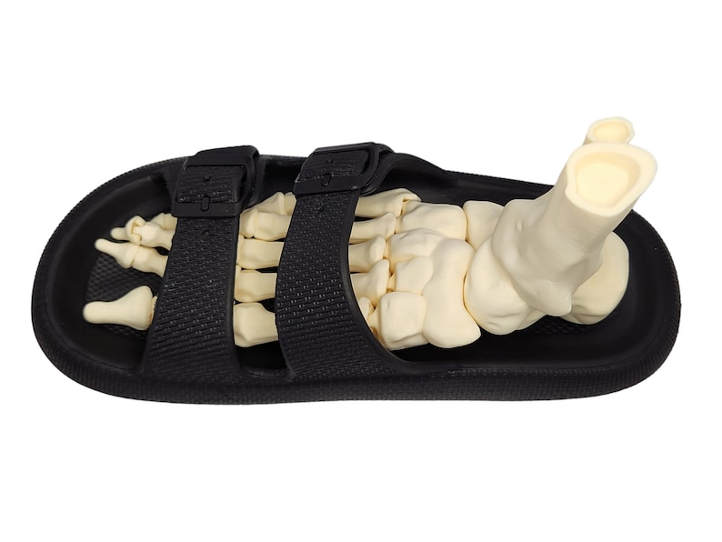 3D Printed Articulated Skeleton Foot | Poseable Anatomical Halloween ...
