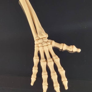 3D Printed Articulated Skeleton Hand: Halloween Decor - Etsy