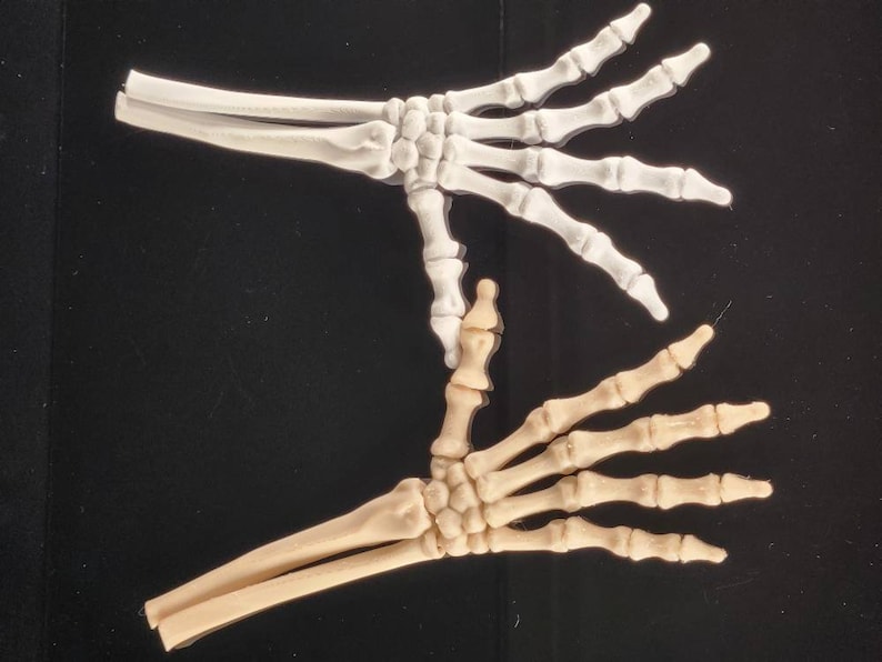 Articulated Skeleton Hand 3D Printed - Etsy