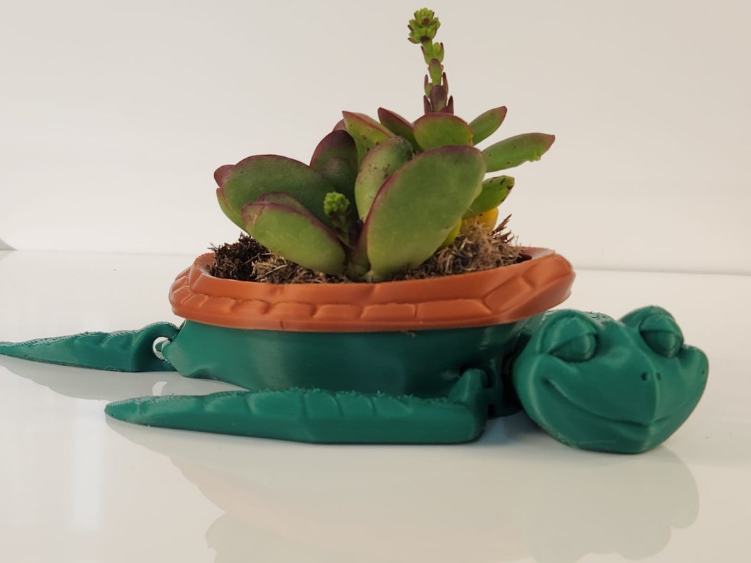 Articulated Multi-purpose 3D Printed Turtle Box - Flower Pot - Etsy