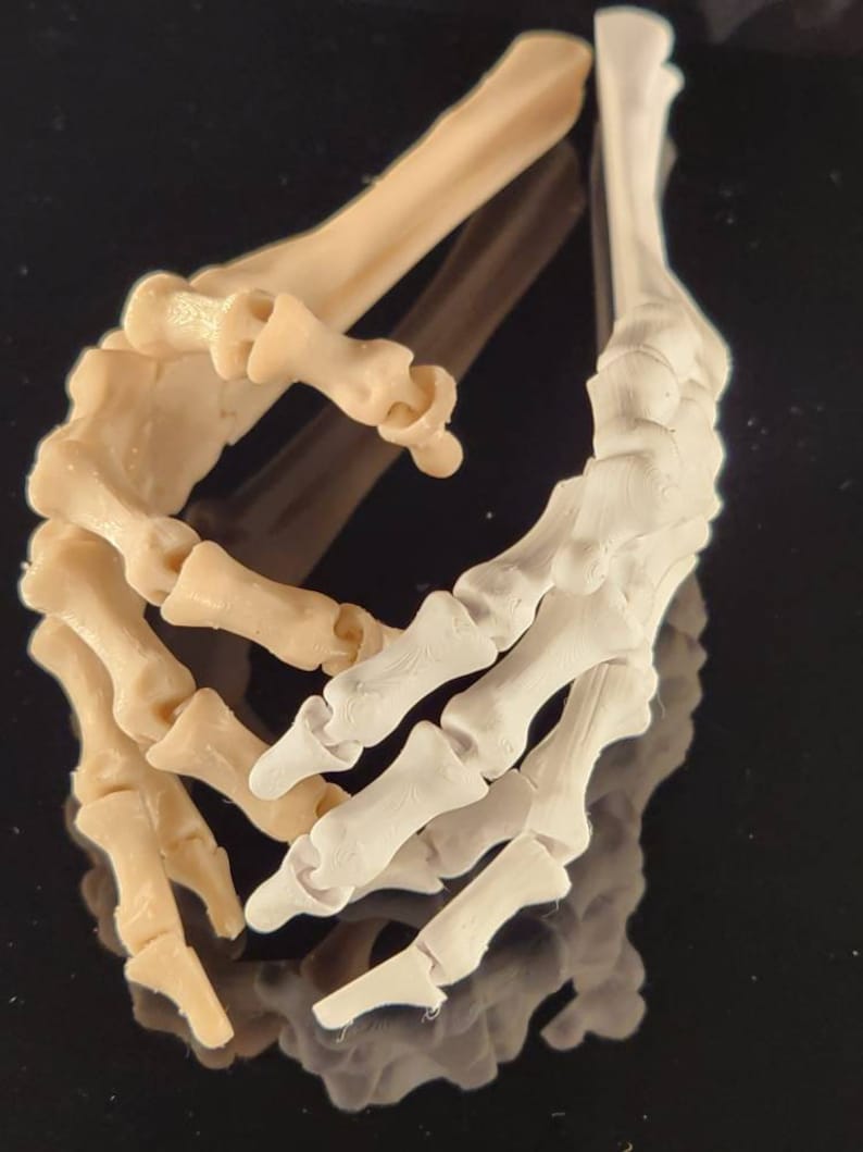 Articulated Skeleton Hand 3D Printed - Etsy