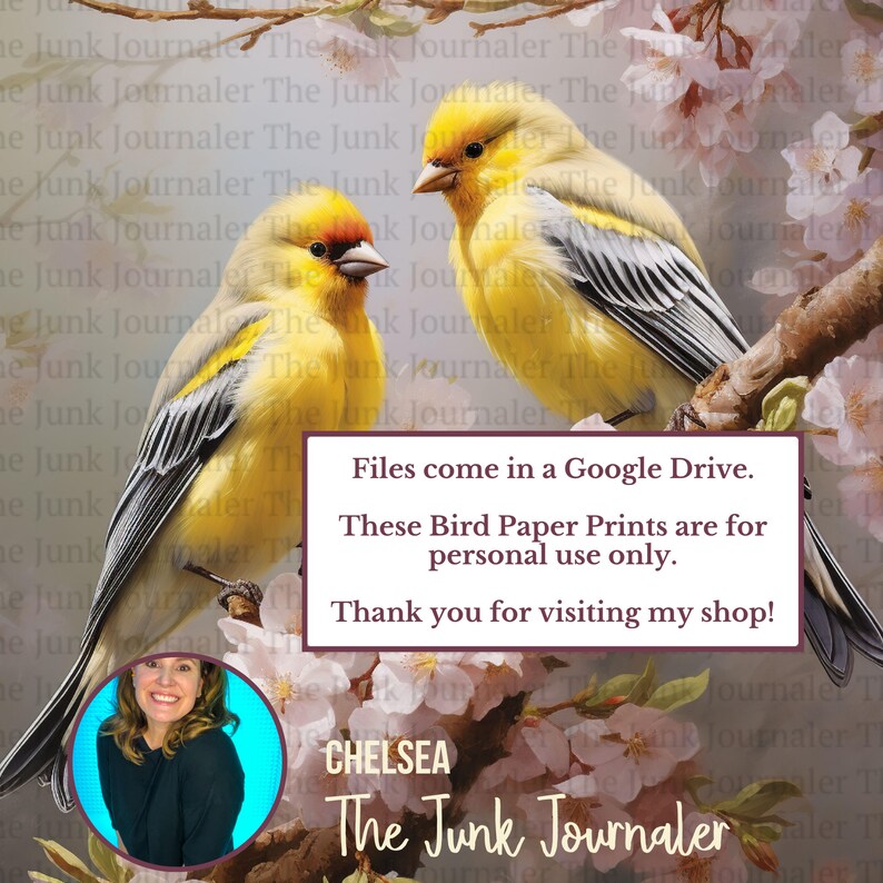 Birds Printable Junk Journal Pages, Bird Junk Journal Digitals ...