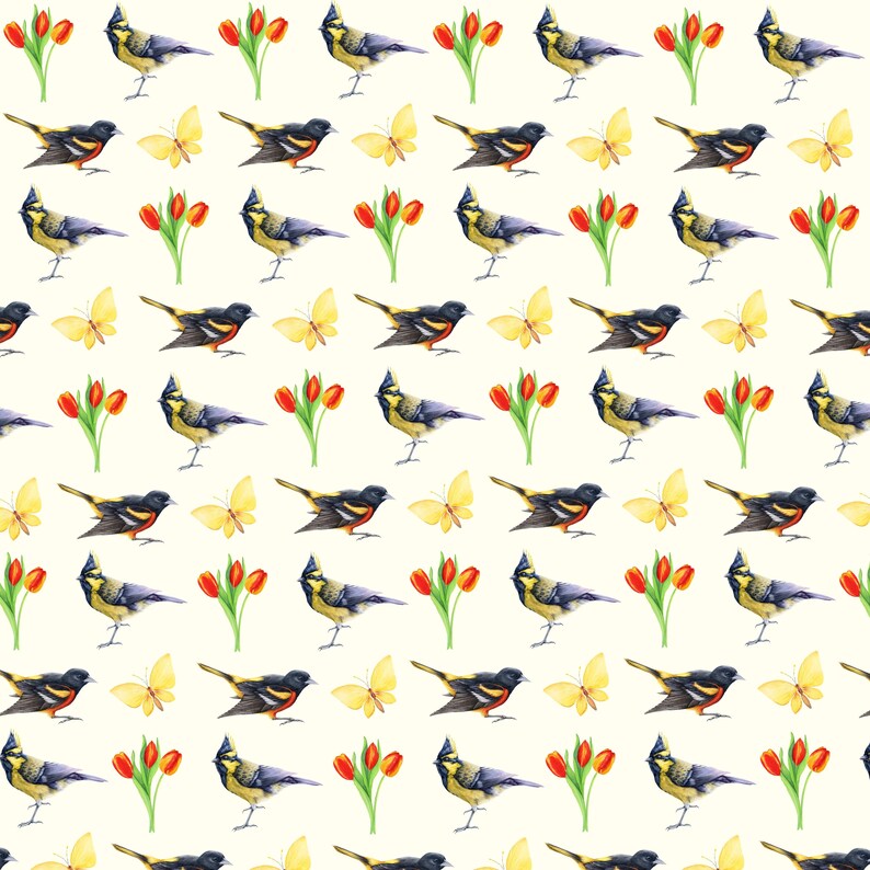 Beautiful Birds Digital Paper Bird Scrapbooking Paper Colorful Craft ...