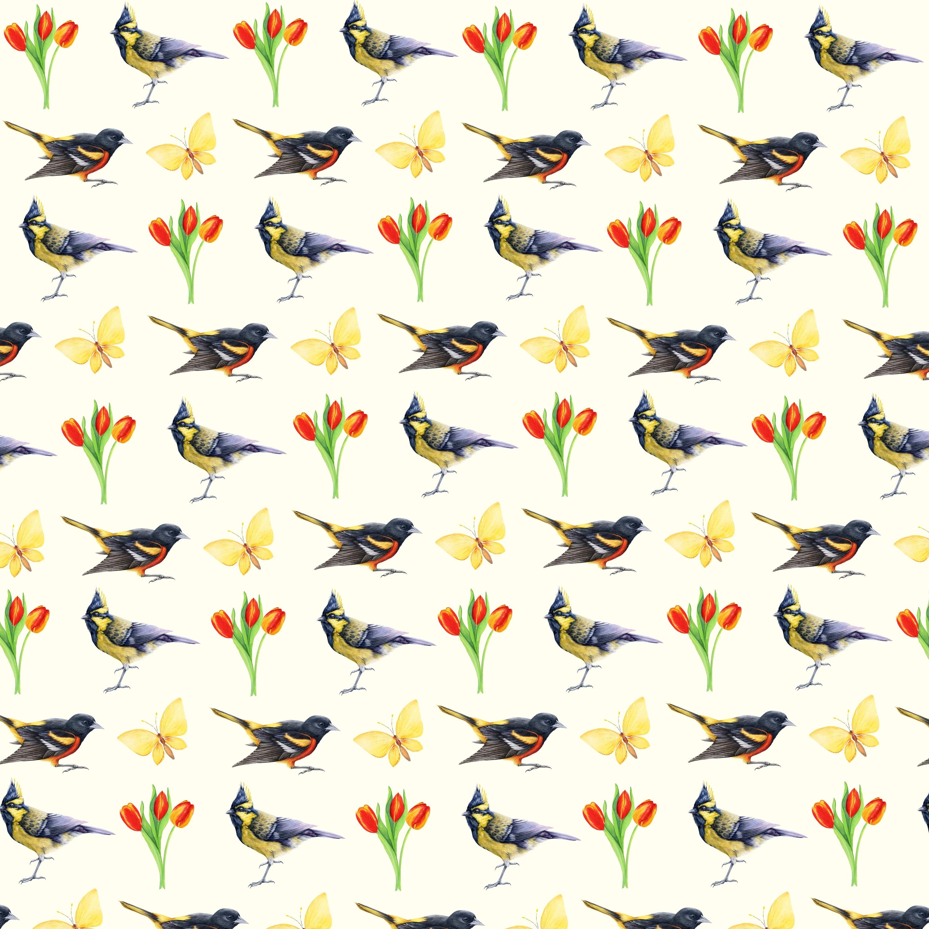 Beautiful Birds Digital Paper Bird Scrapbooking Paper Colorful Craft ...