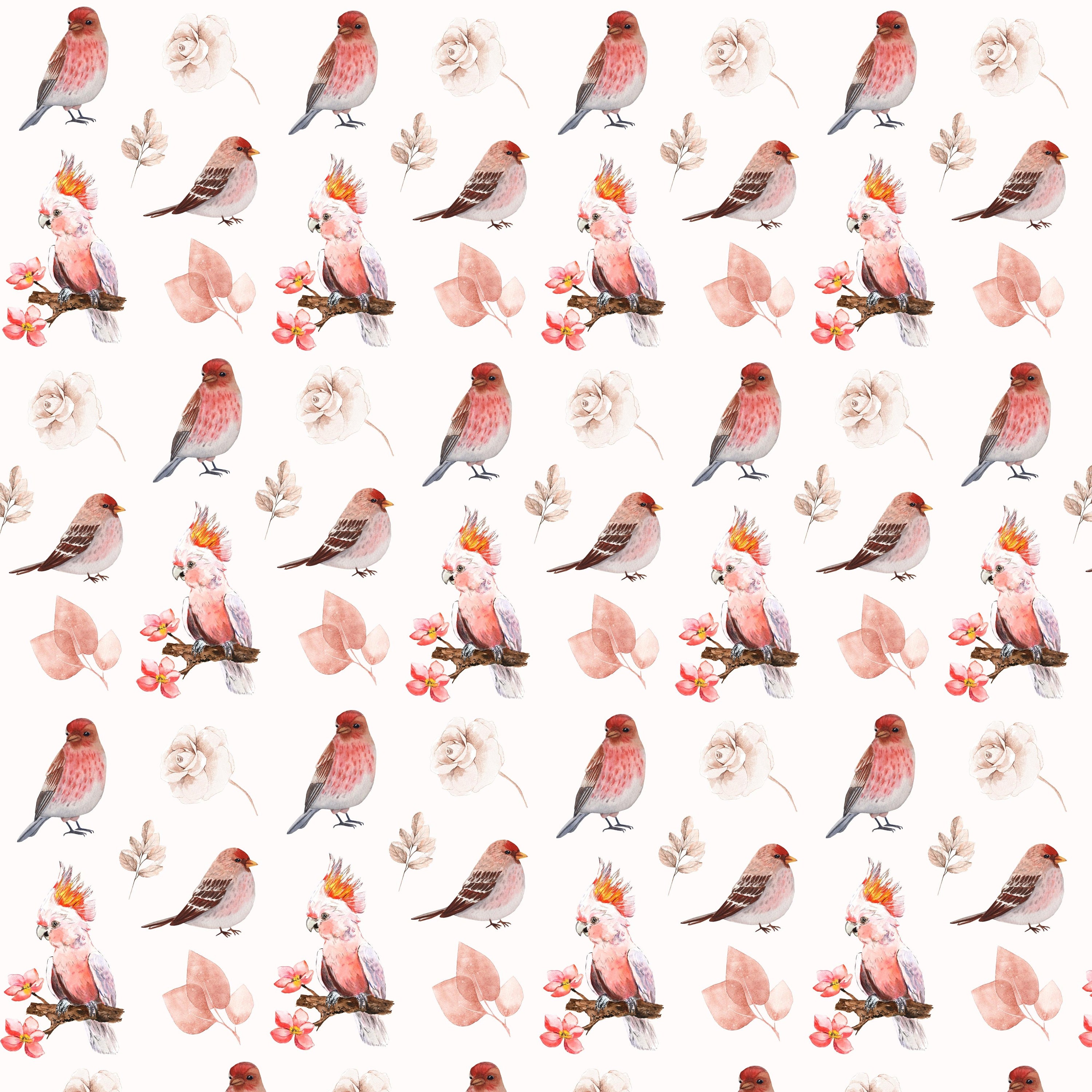 Beautiful Birds Digital Paper Bird Scrapbooking Paper - Etsy