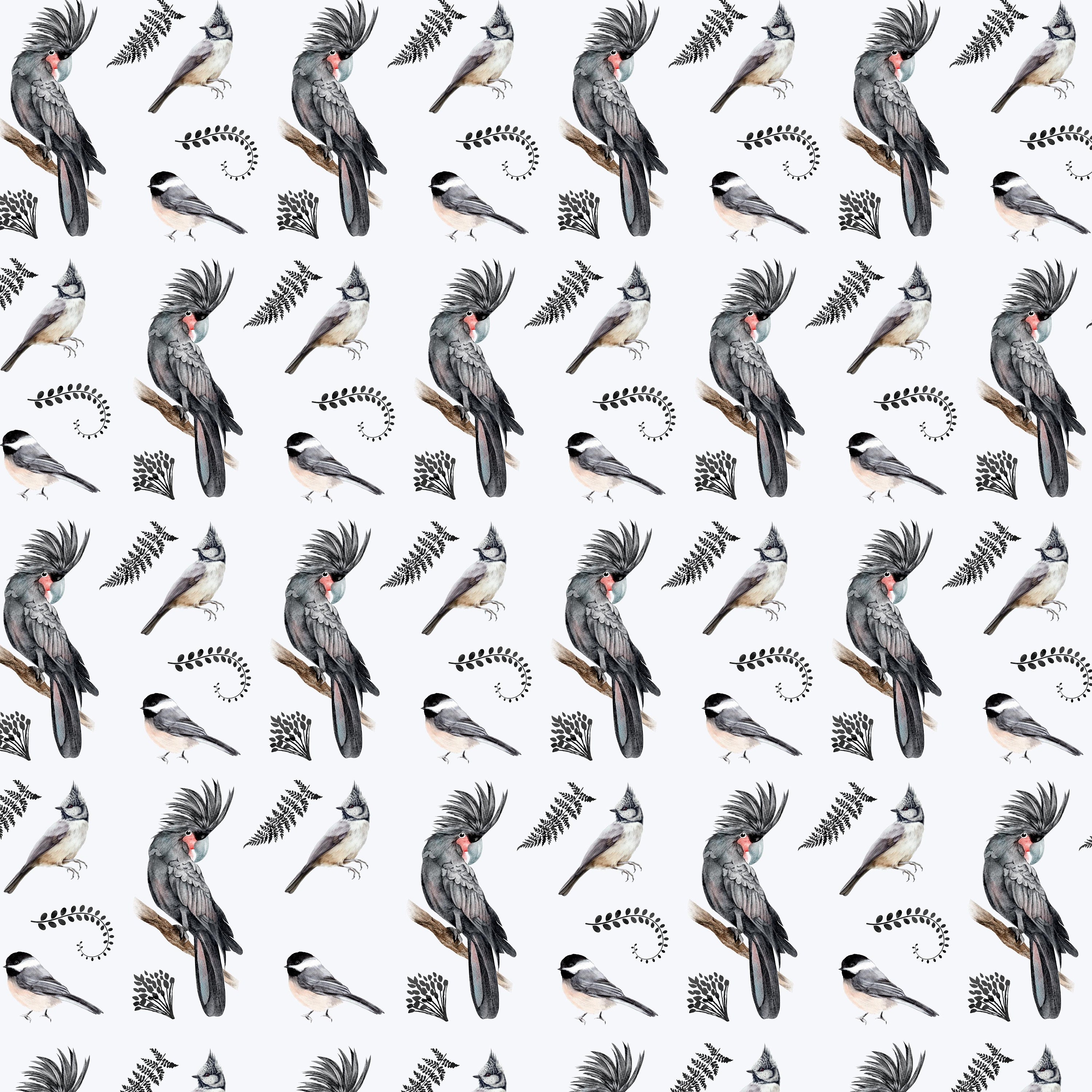 Beautiful Birds Digital Paper Bird Scrapbooking Paper - Etsy