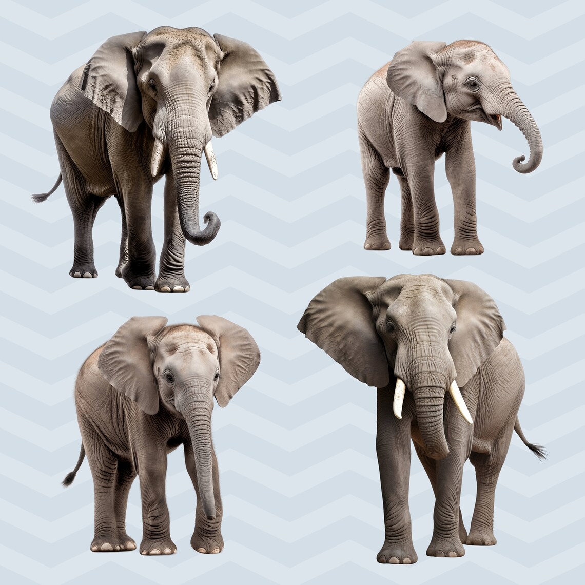 African Animals Clip Art Set 3 Clipart, Elephants, Cape Buffalo, Wild ...