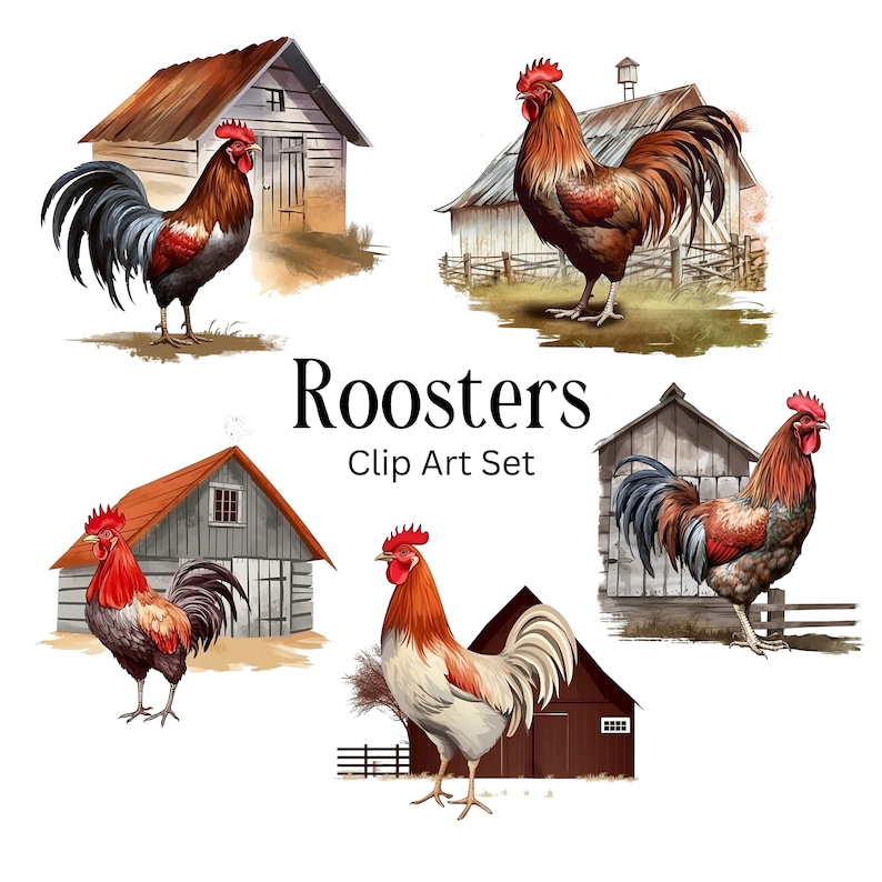 Roosters Clip Art Farm Clip Art Rooster Scrapbook Junk - Etsy