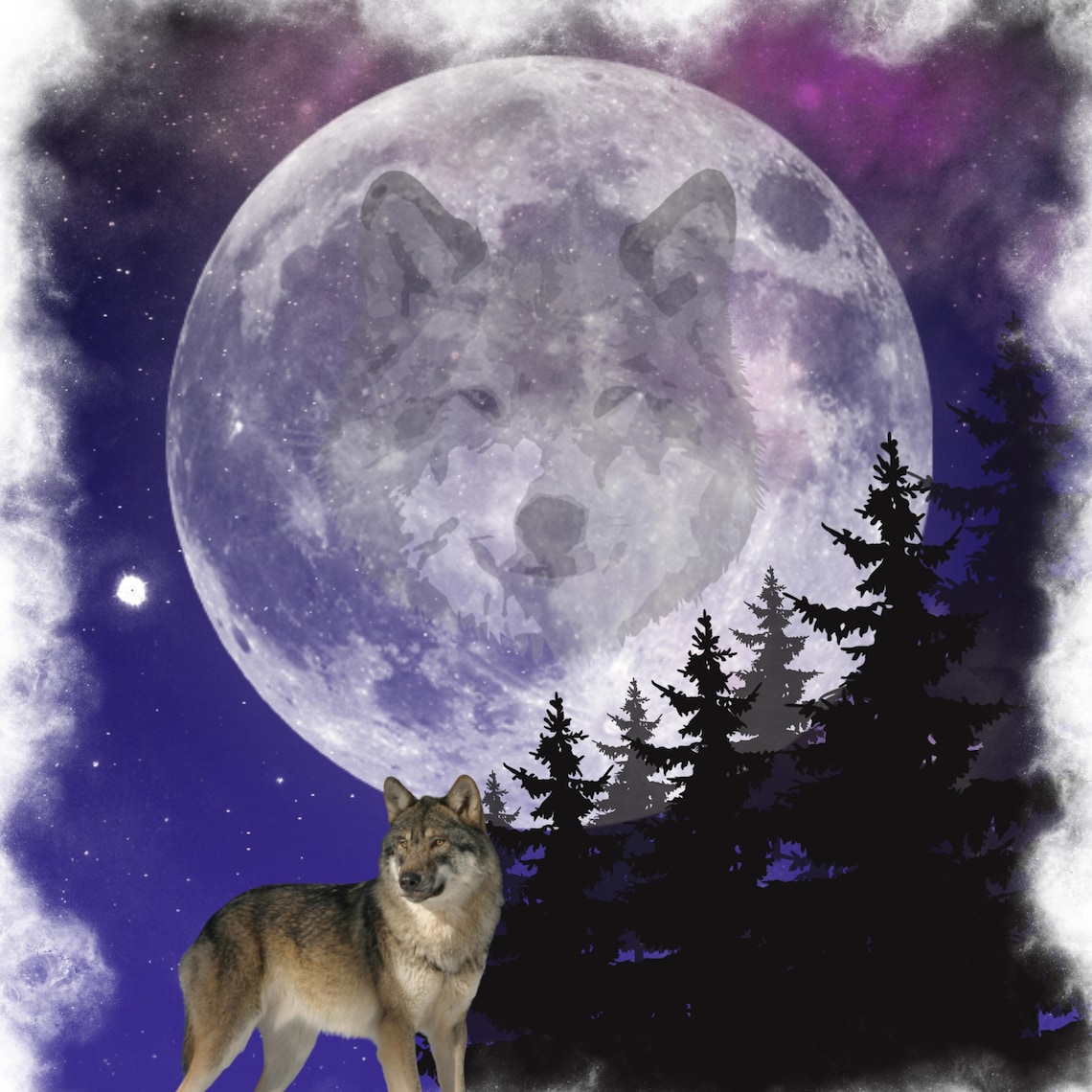 Wolves Digital Paper Wolf Scrapbook Paper - Etsy