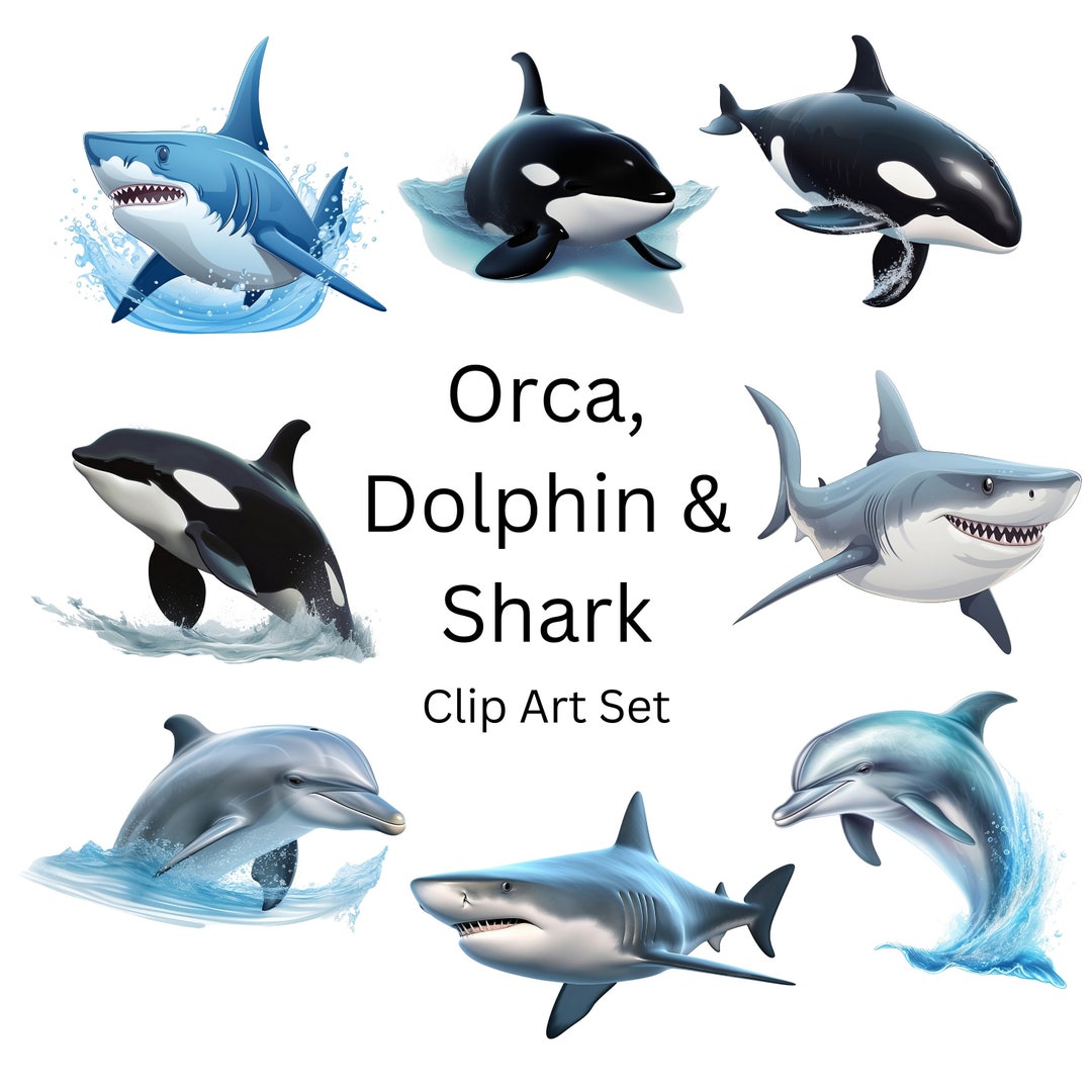 Orca, Dolphin & Shark Clip Art Set, Sea Life, Ocean, Digital Download ...