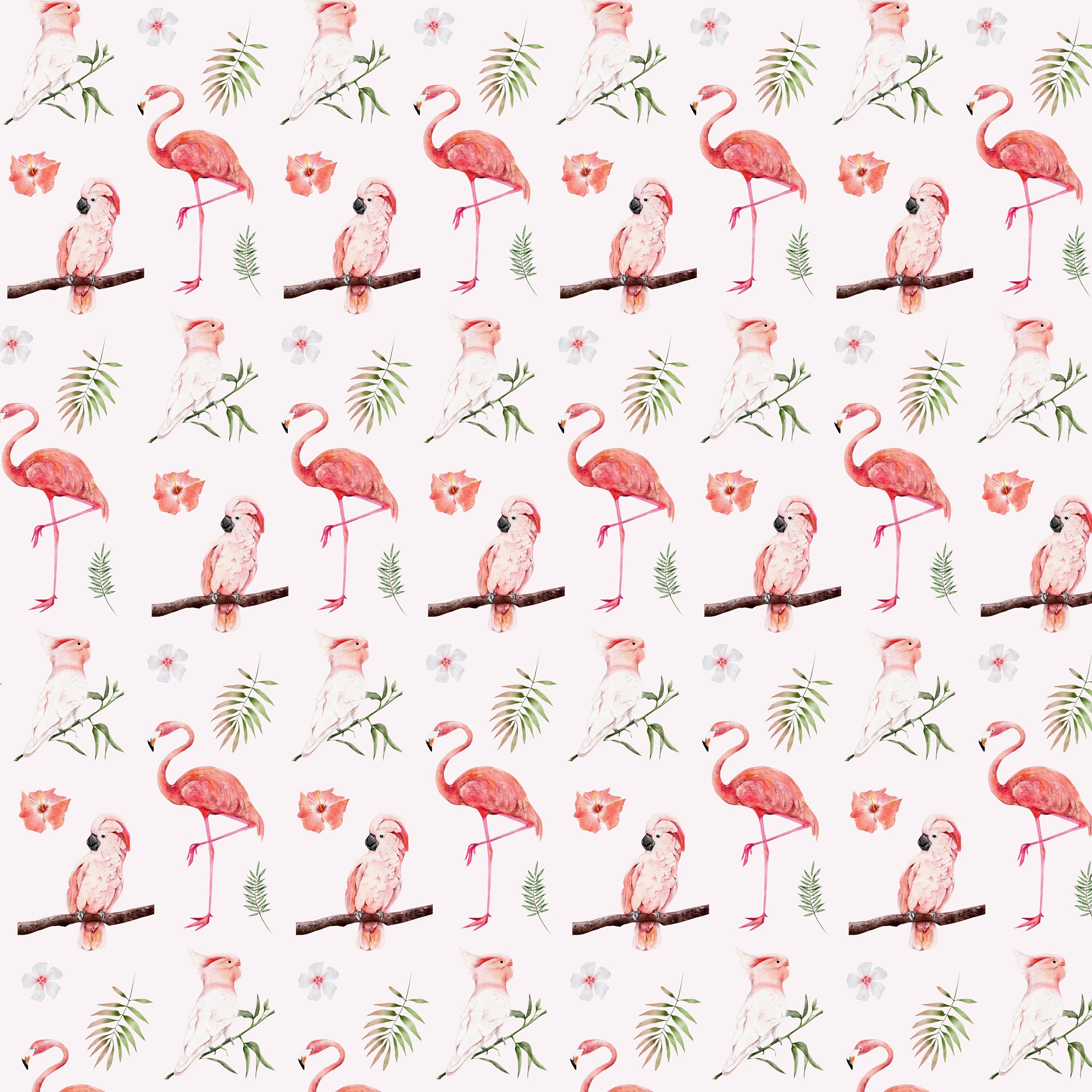 Beautiful Birds Digital Paper Bird Scrapbooking Paper Colorful Craft ...