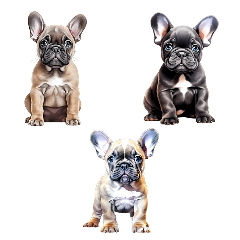 French Bulldog Puppies Clip Art - Dogs, Frenchie, Puppy, Clipart ...