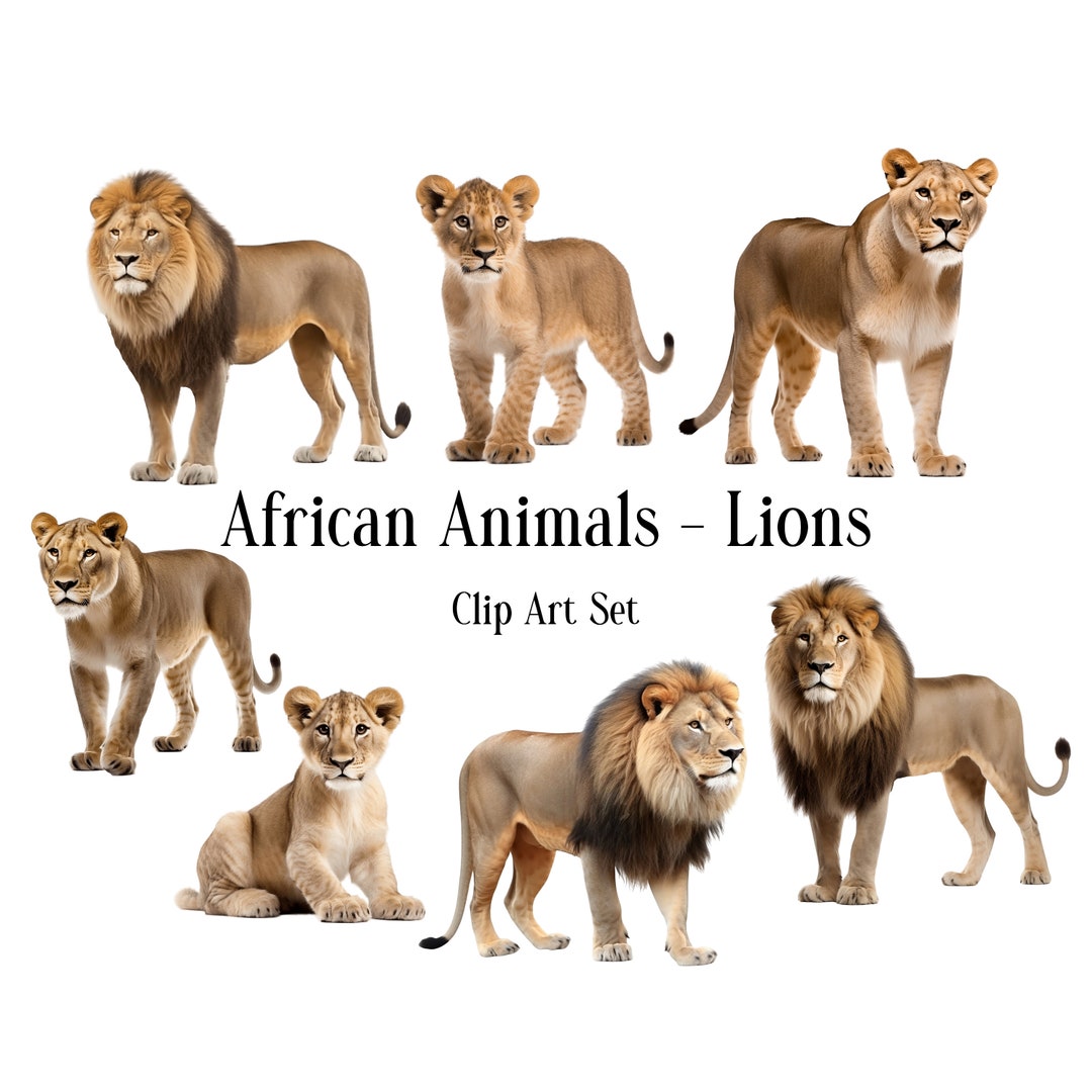 African Animals Clip Art - Lions - Clipart, Lion, Lioness, Crafts ...