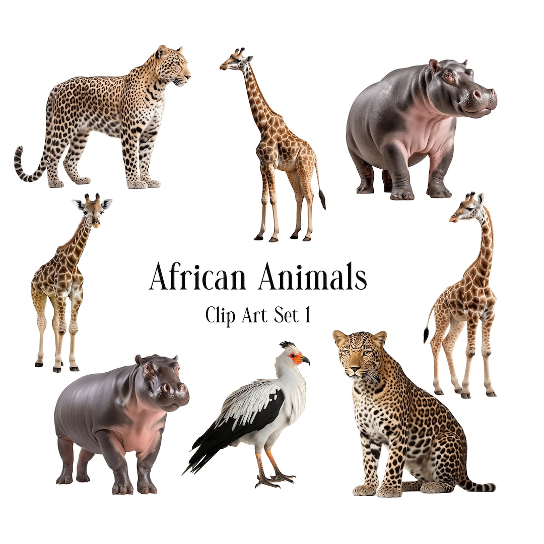 African Animals Clip Art - Set 1 - Clipart, Hippo, Giraffe, Secretary ...