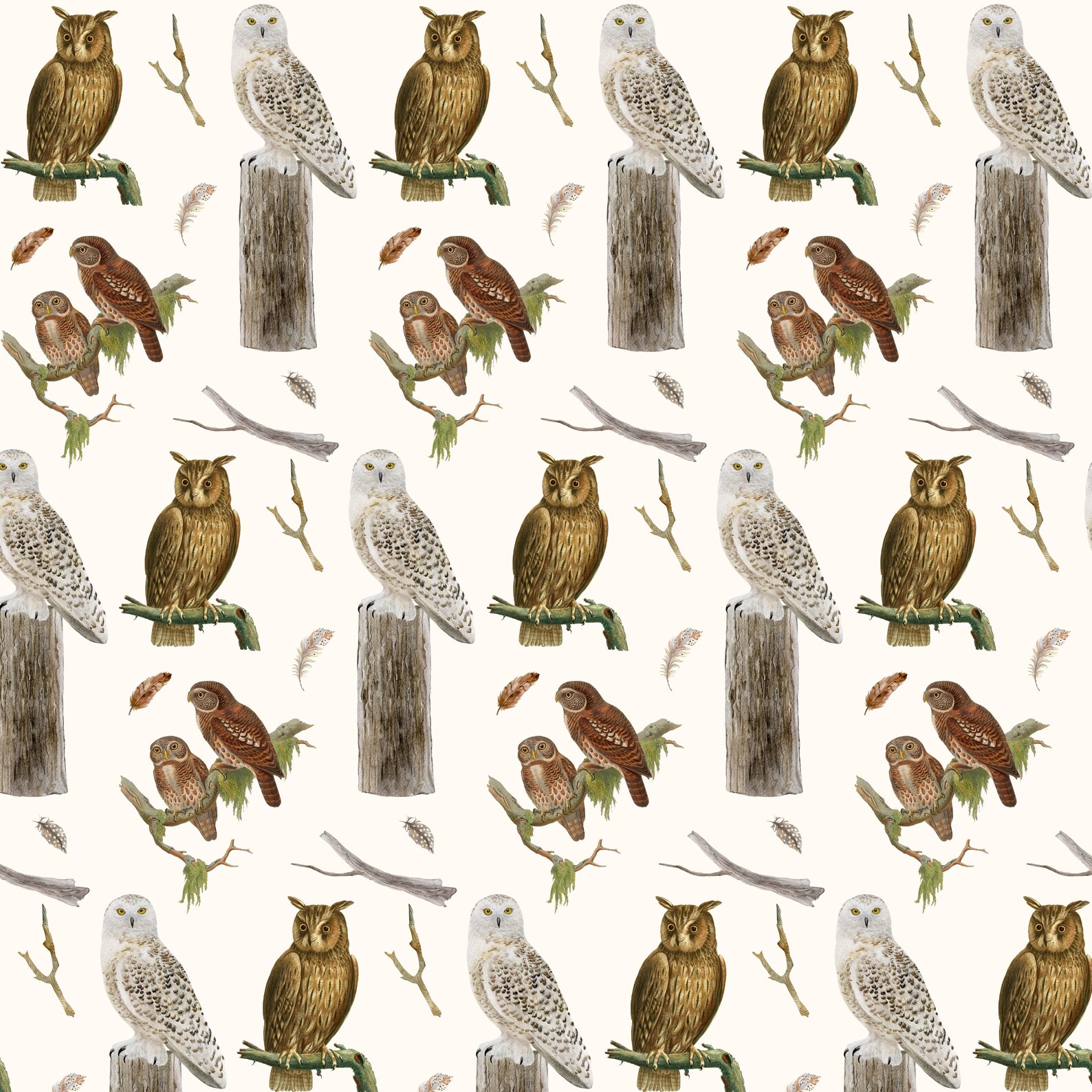 Owls Digital Paper Owl Scrapbooking Paper Junk Journals - Etsy