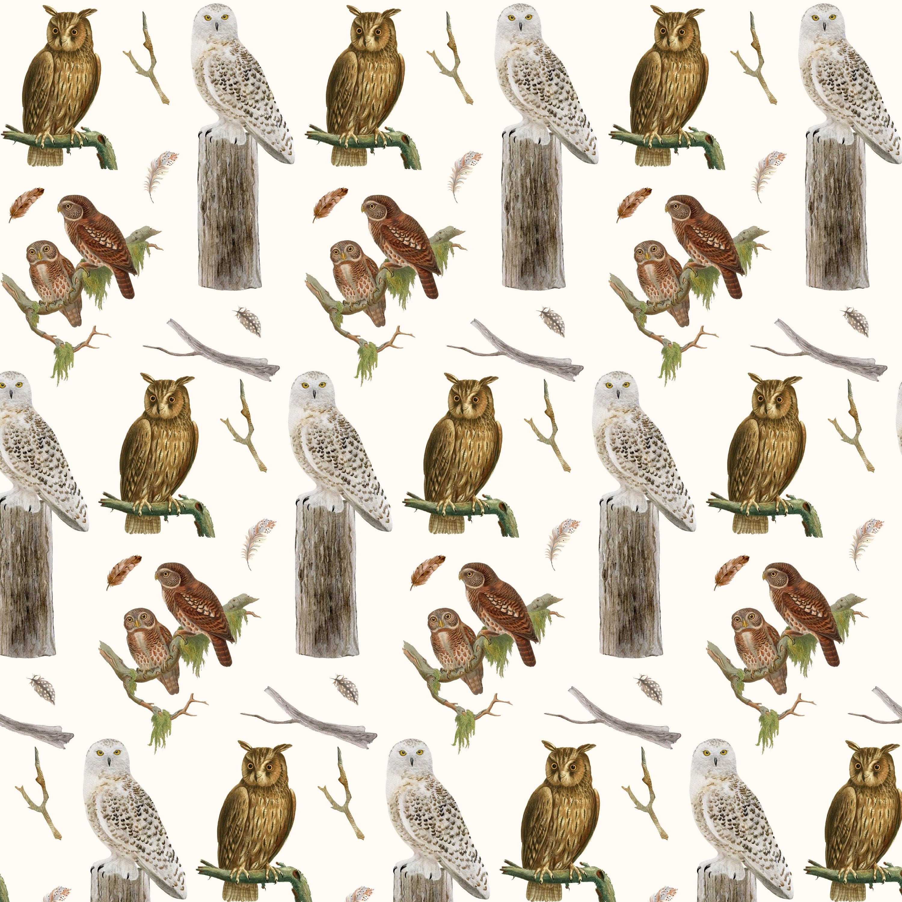 Owls Digital Paper Owl Scrapbooking Paper, Junk Journals, Pattern ...