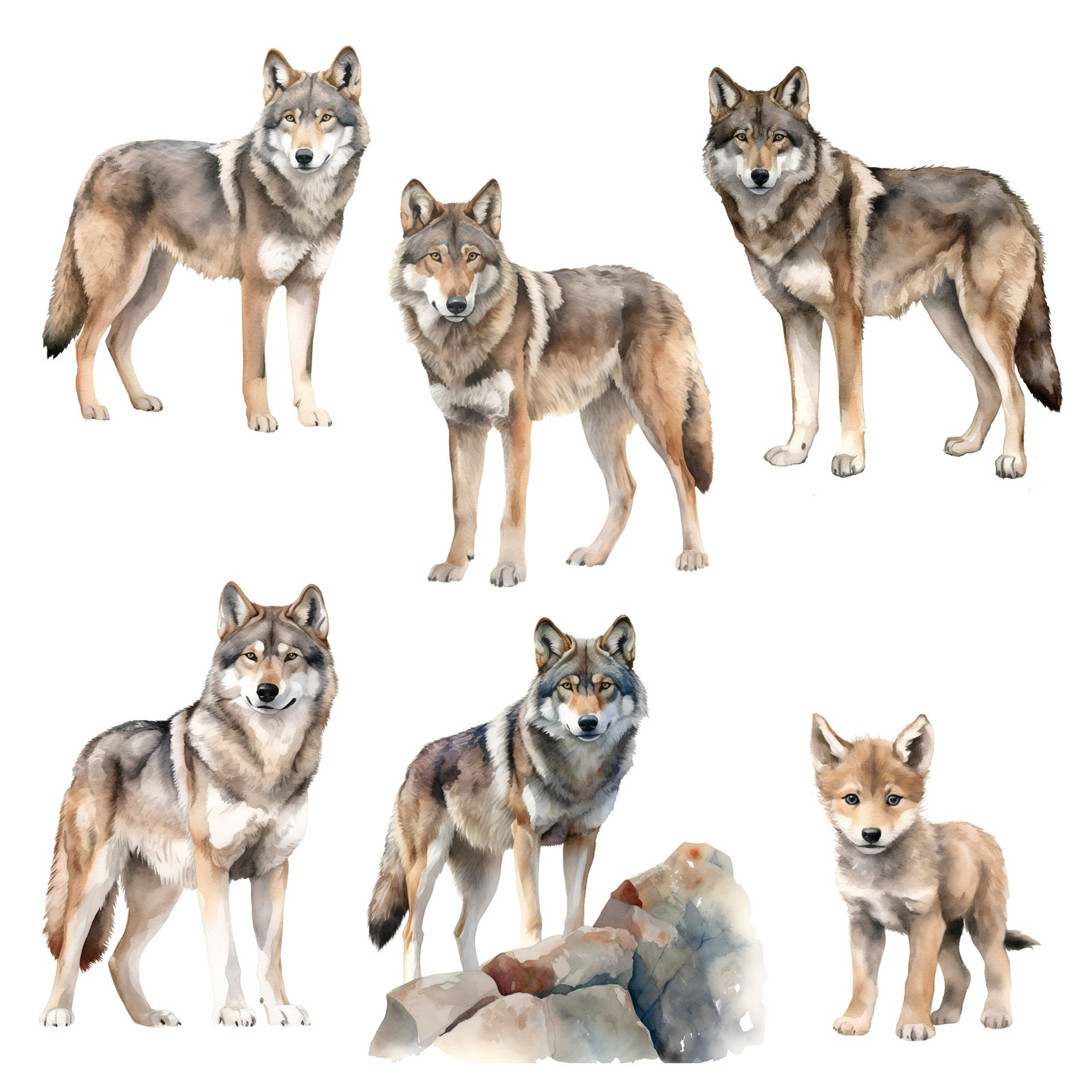 Wolf Clip Art - Wolves, Watercolor, Clipart, Scrapbook, Cards ...