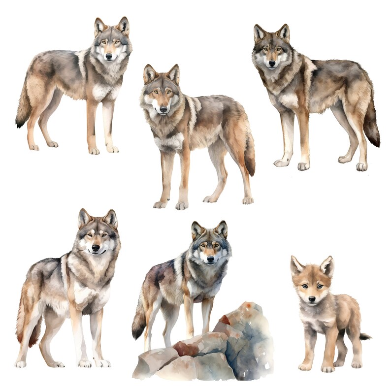 Wolf Clip Art Wolves, Watercolor, Clipart, Scrapbook, Cards ...