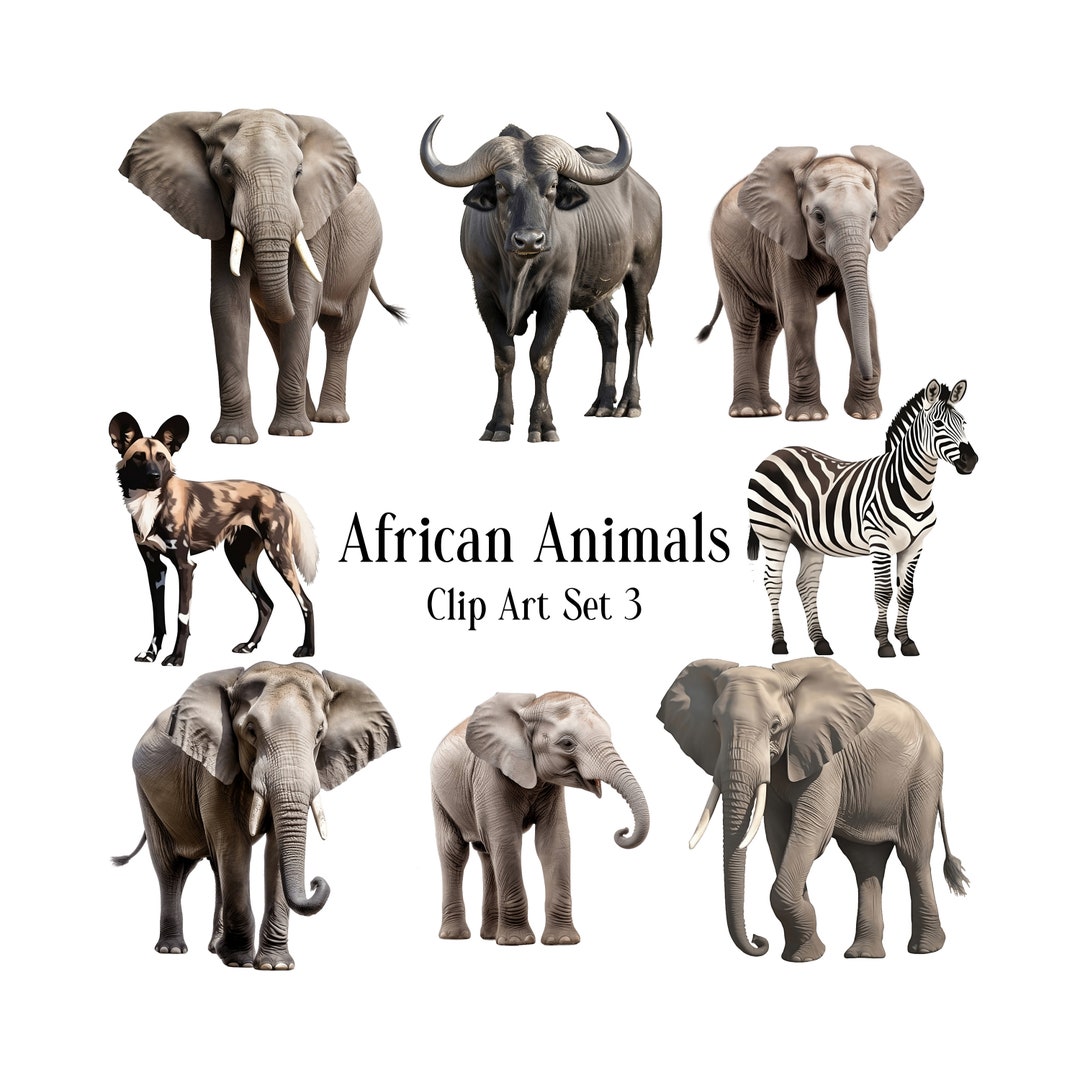 African Animals Clip Art - Set 3 - Clipart, Elephants, Cape Buffalo ...