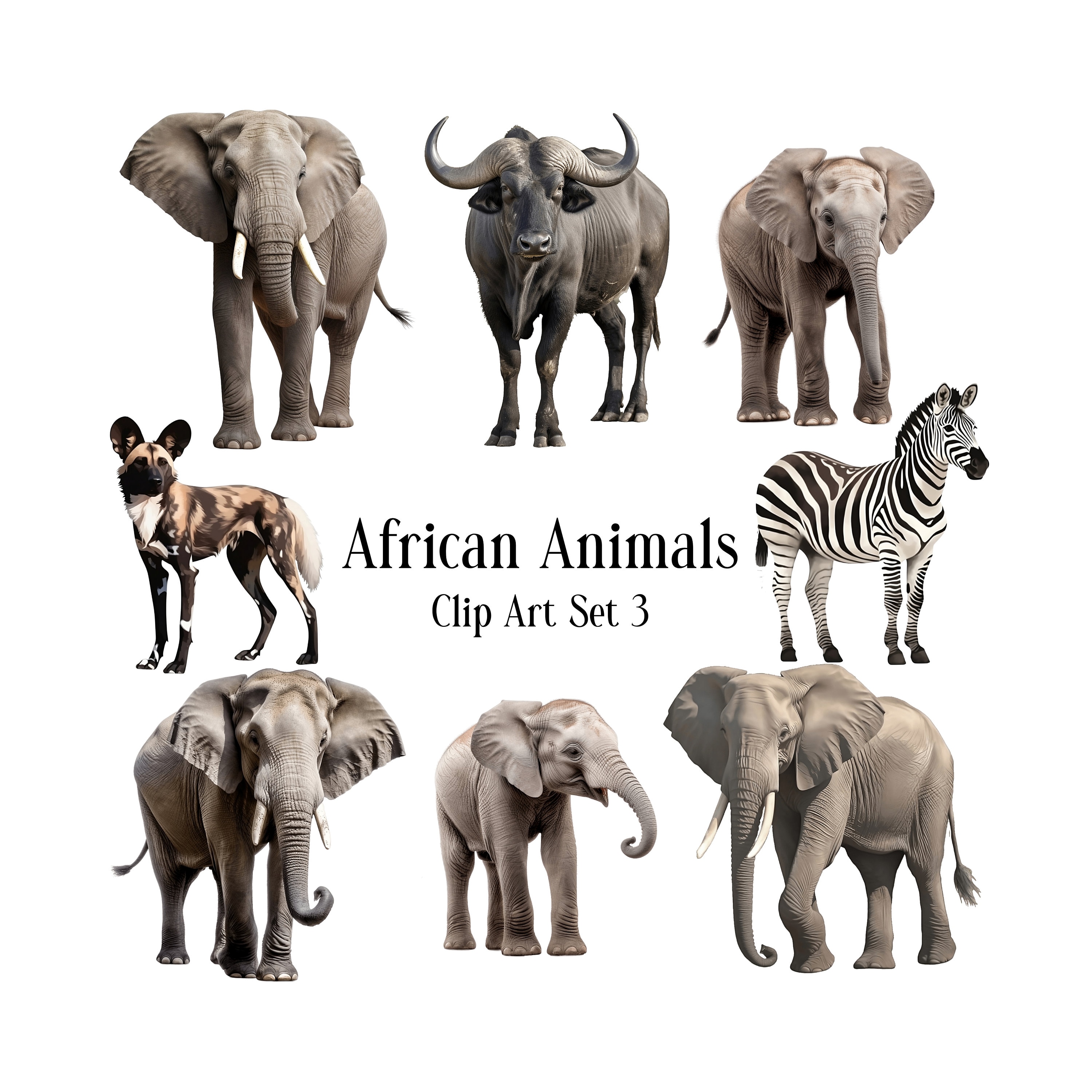 African Animals Clip Art Set 3 Clipart, Elephants, Cape Buffalo, Wild ...