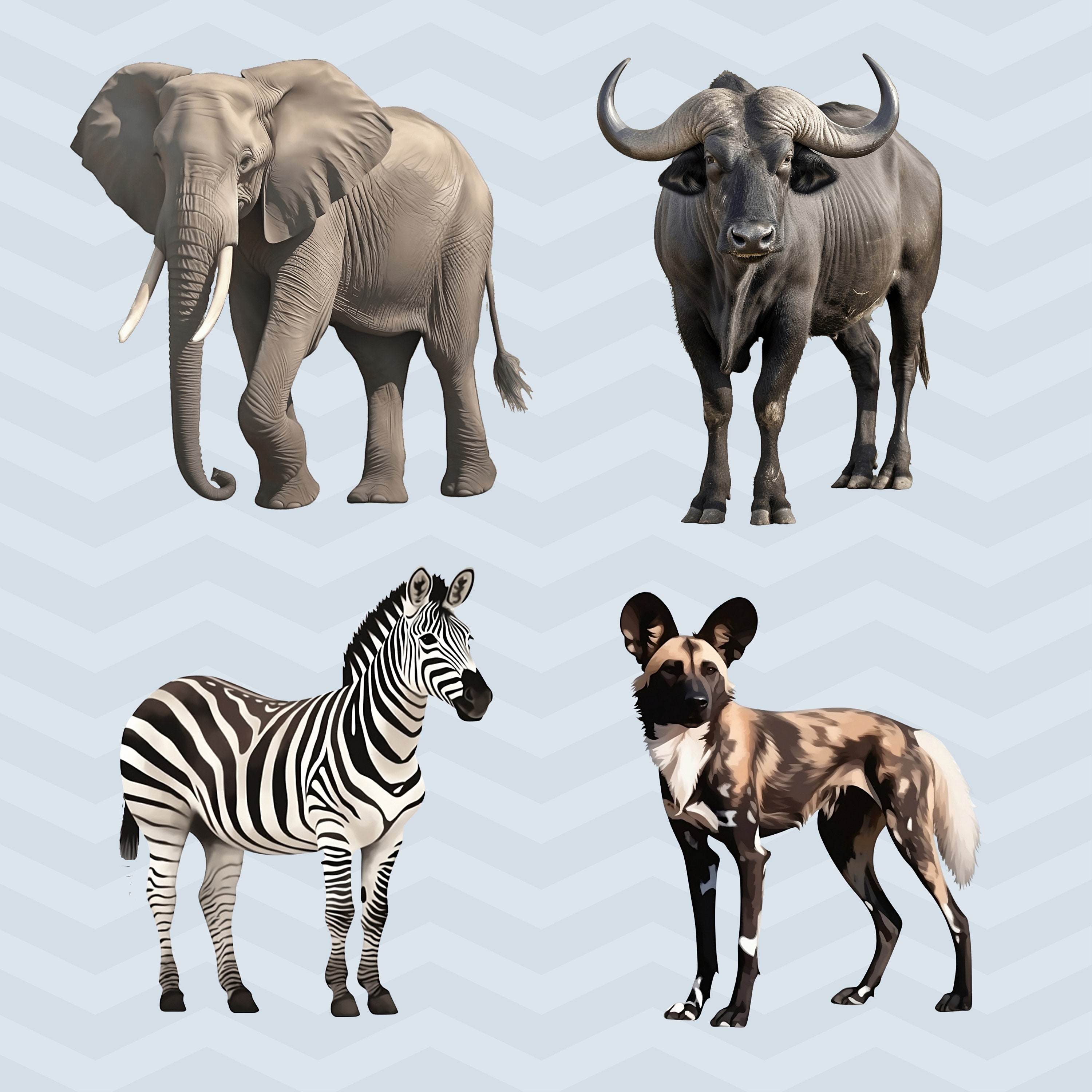 African Animals Clip Art Set 3 Clipart, Elephants, Cape Buffalo, Wild ...