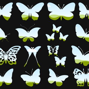 Custom Frames - Butterfly Garden, Drag & Drop Frames for Crafts, Cards ...