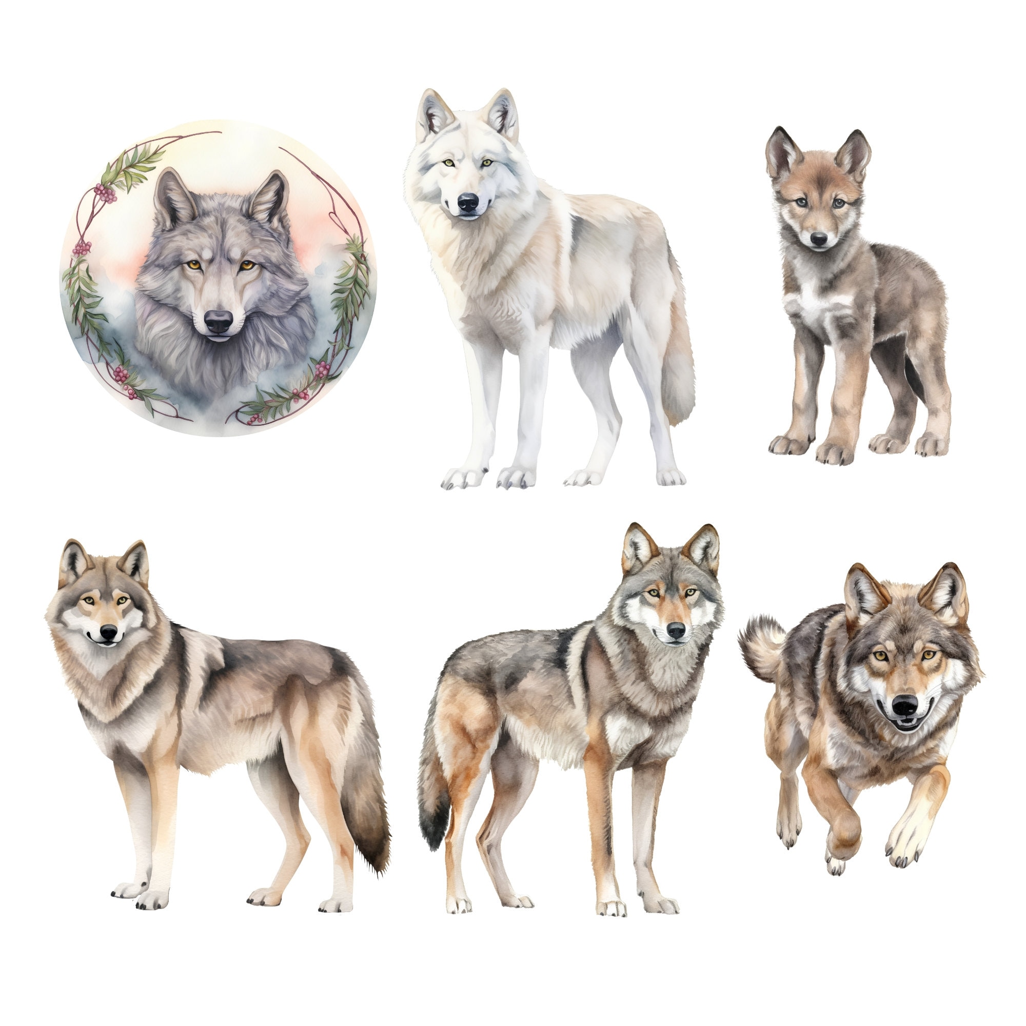 Wolf Clip Art Wolves, Watercolor, Clipart, Scrapbook, Cards ...