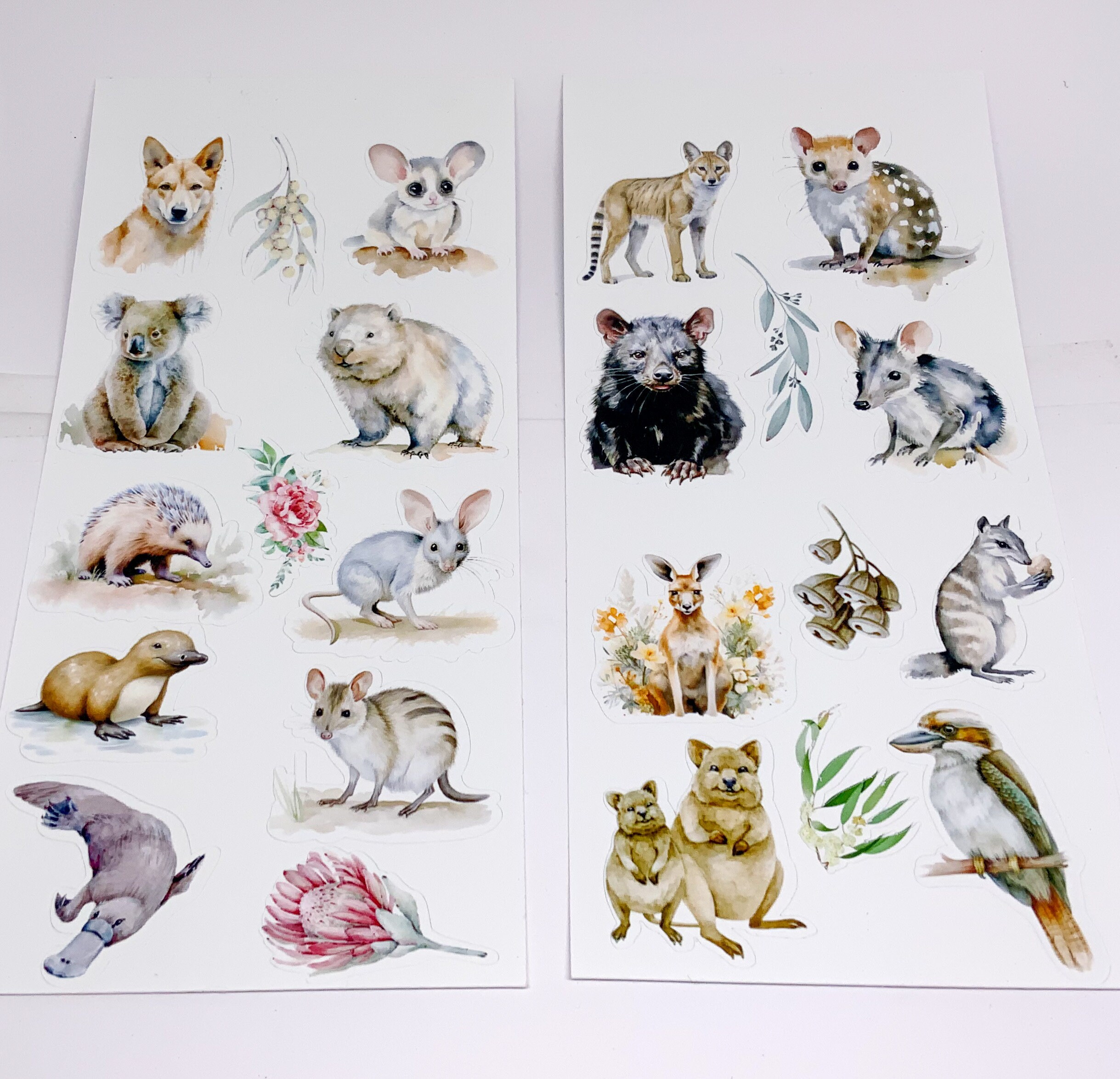 Adorable Australian Animal Sticker Set 74 Stickers Celebrate Down Under ...