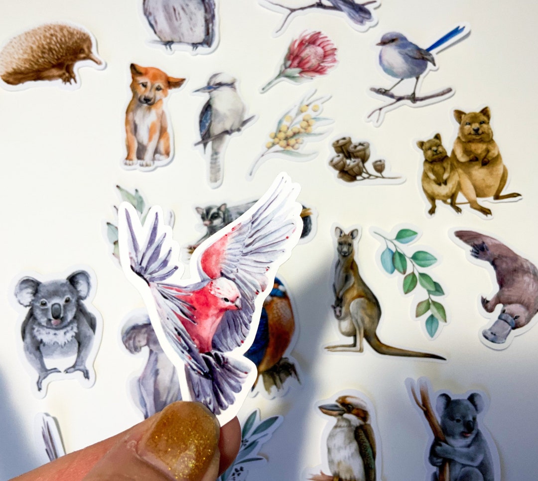 Australian Wildlife Stickers/ Australian Animal Stickers/gloss/craft ...
