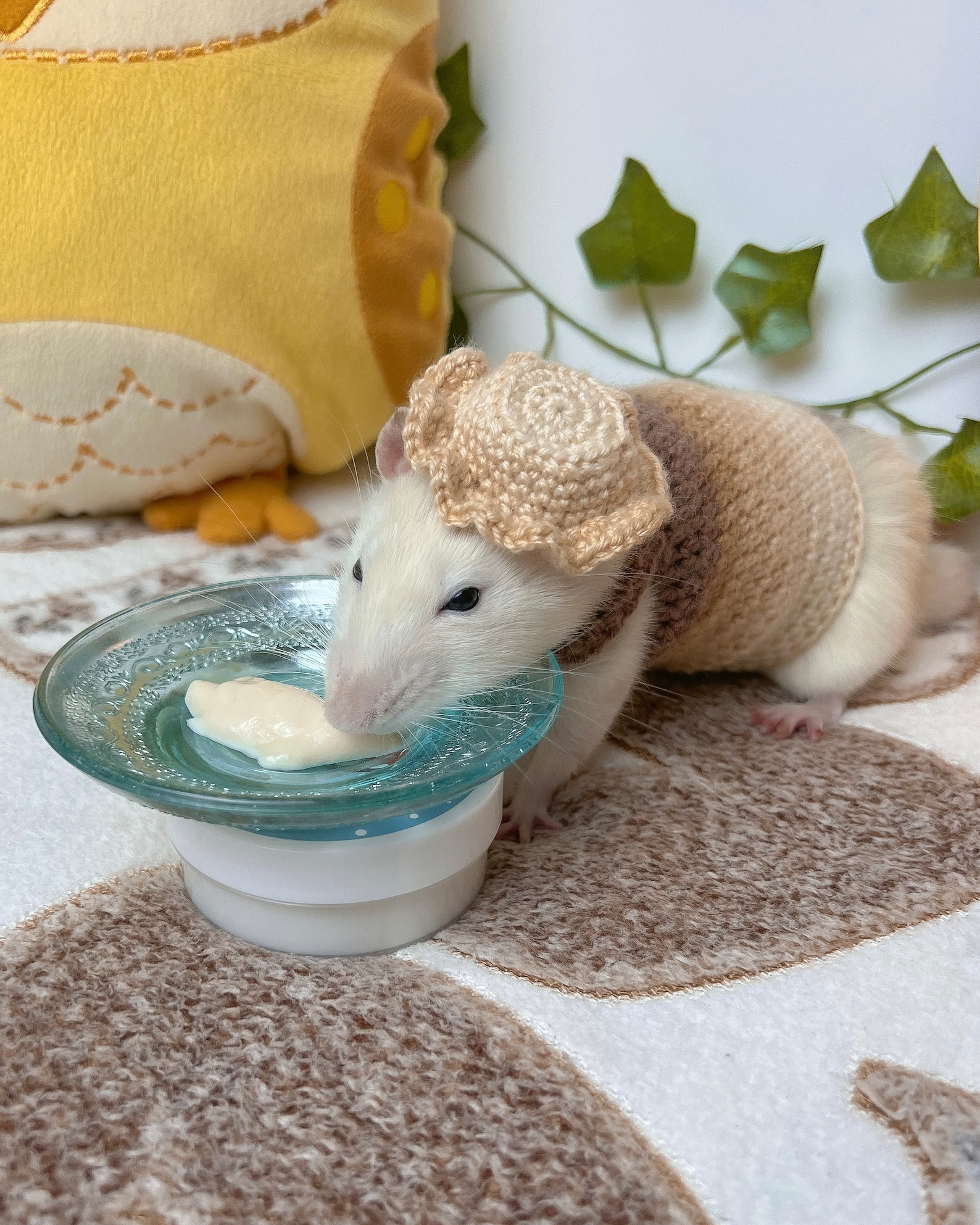 CROCHET PATTERN Rat Coat Sweater Rat/easy Rat Pet Crochet Pattern ...