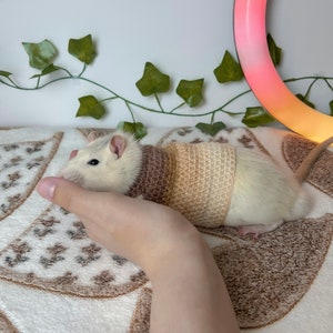 CROCHET PATTERN Rat Coat Sweater Rat/easy Rat Pet Crochet Pattern ...