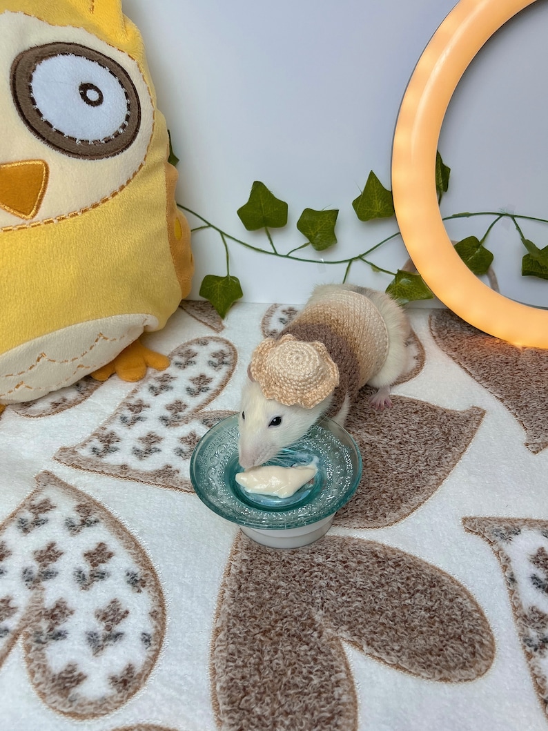 CROCHET PATTERN Rat Coat Sweater Rat/easy Rat Pet Crochet - Etsy