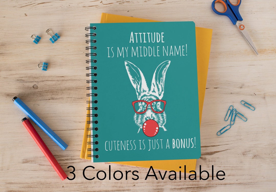 Teenager Girl Gifts, Tween Girl Gifts, Notebook Journal Spiral, Rabbit ...