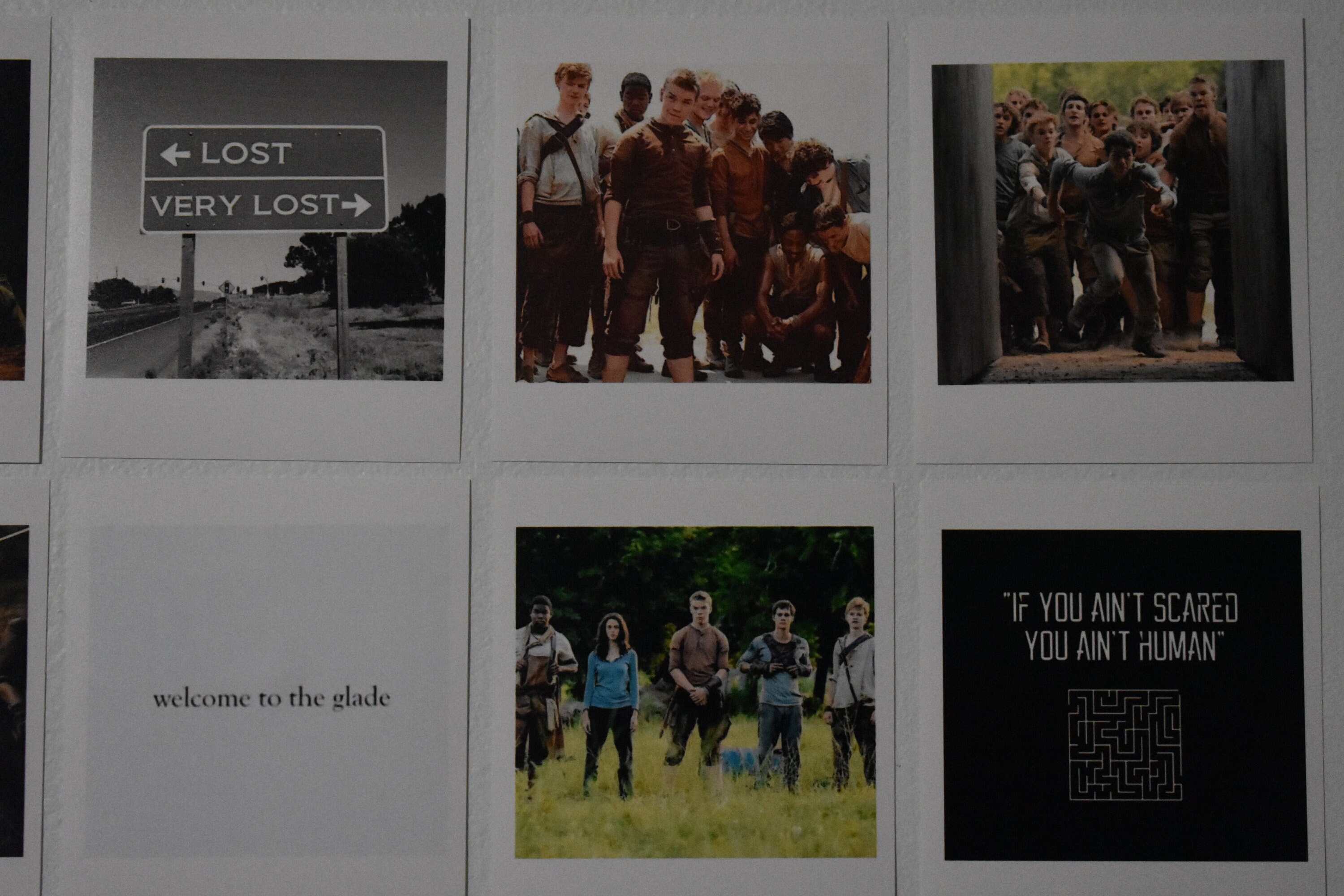 The Maze Runner Aesthetic Polaroids - Etsy