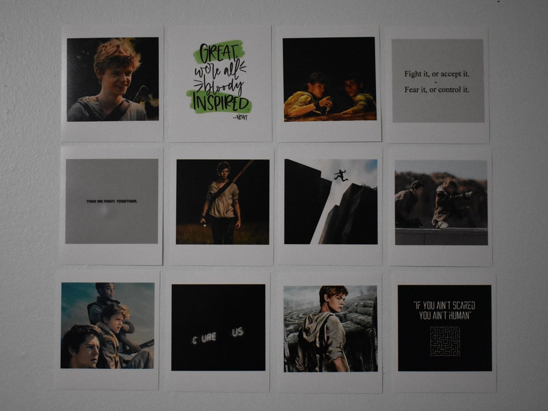 Newt the Maze Runner Aesthetic Polaroids - Etsy