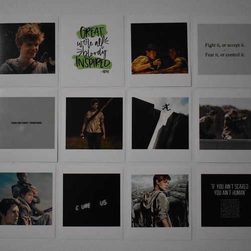 Newt the Maze Runner Aesthetic Polaroids - Etsy
