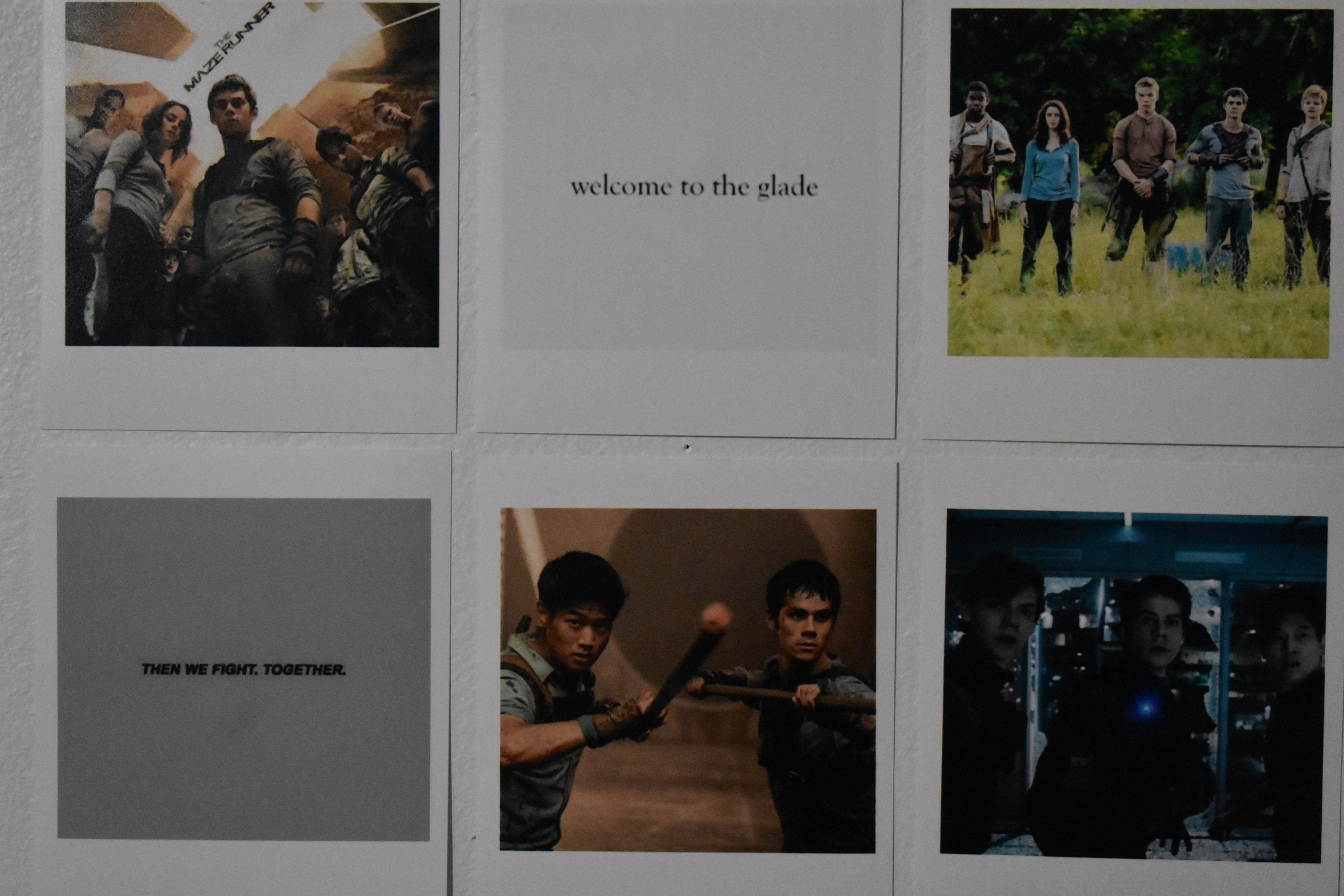 The Maze Runner Aesthetic Polaroids - Etsy