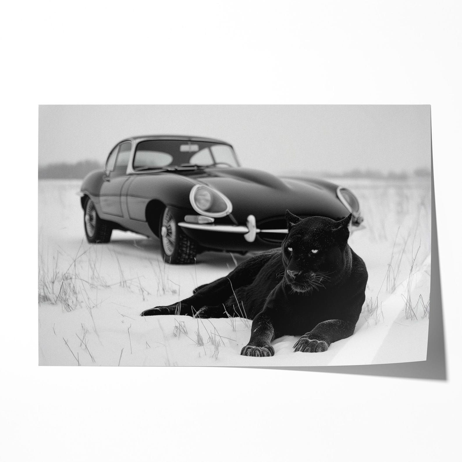 Jaguar E-type Art Print: Luxury Sports Car Photography on Luster Paper ...