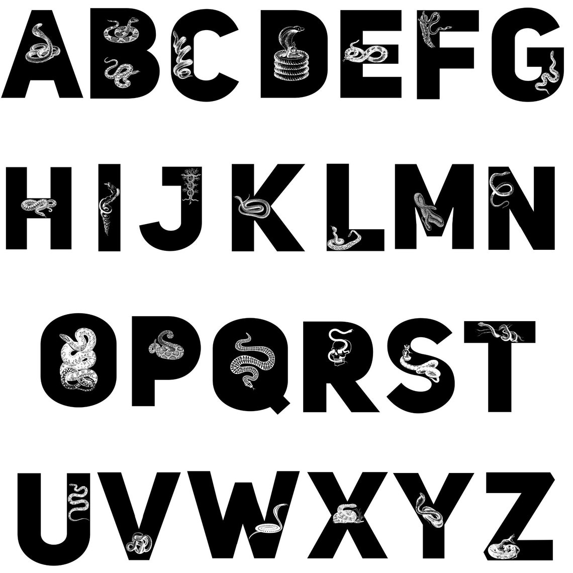 Snake Font Alphabet With Snakes Snake Letters as Png - Etsy